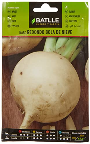 Nabo Continente - FICA