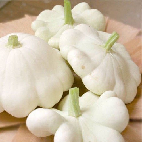 How to cook white patty pan squash - Metro Cooking Dallas