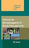 【発売日：2007年09月18日】・製造元:Springer