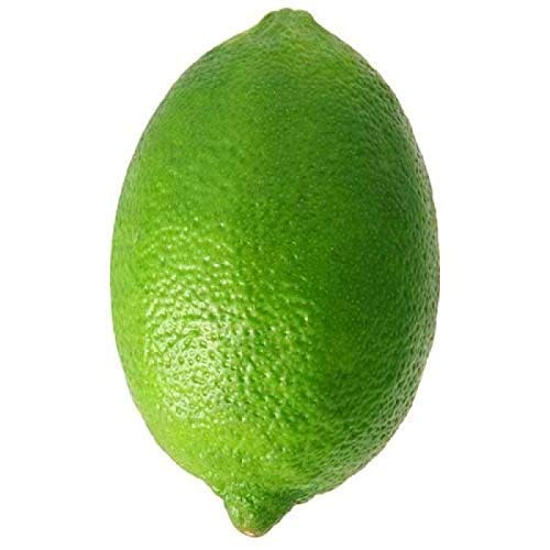 Creative Farmer Live Plant Lime Gandharaj Lemon Fruit - 1 Healthy 8-16 ...
