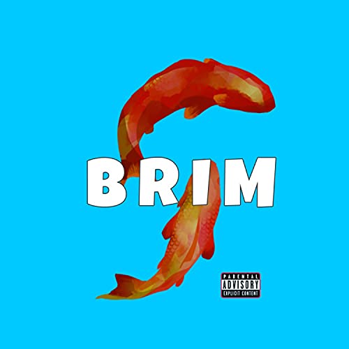 BRIM de SIR en Amazon Music Unlimited