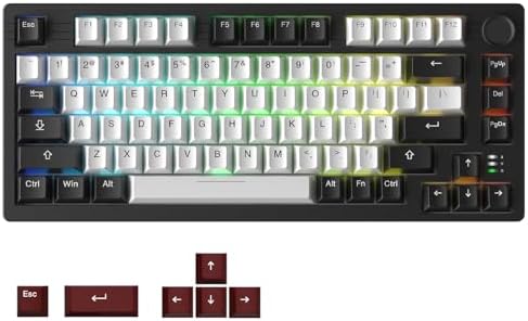 Amazon.com: Akko ACR Pro 68 Hot-swappable Black & Cyan Mechanical ...