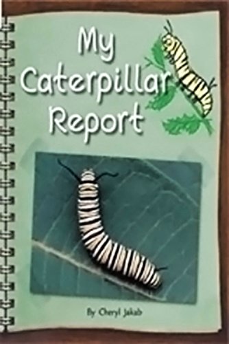 Buy My Caterpillar Report Bookroom Package Levels 5-6 (Rigby Flying ...