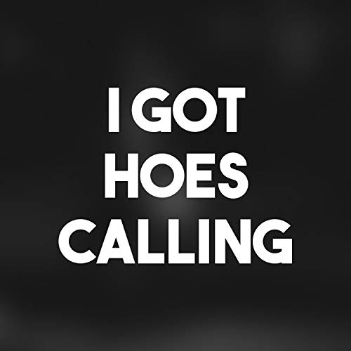I Got Hoes Calling [Explicit] von Glenn Callin bei Amazon Music - Amazon.de