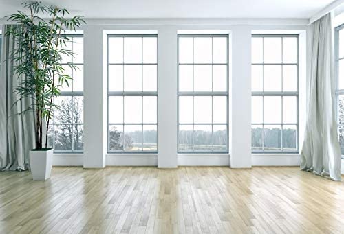 Renaiss 10x8ft French Windows Living Room Backdrop Wooden Floor Empty ...