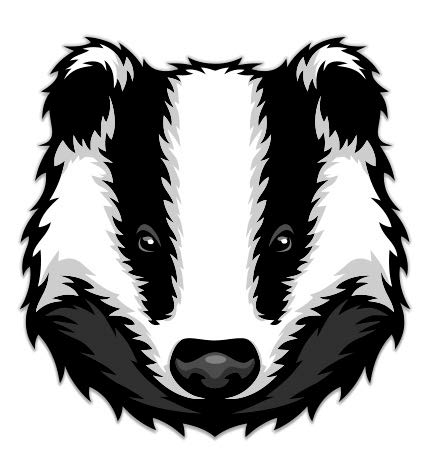Amazon.com : GT Graphics Express Badger - Vinyl Sticker Waterproof ...