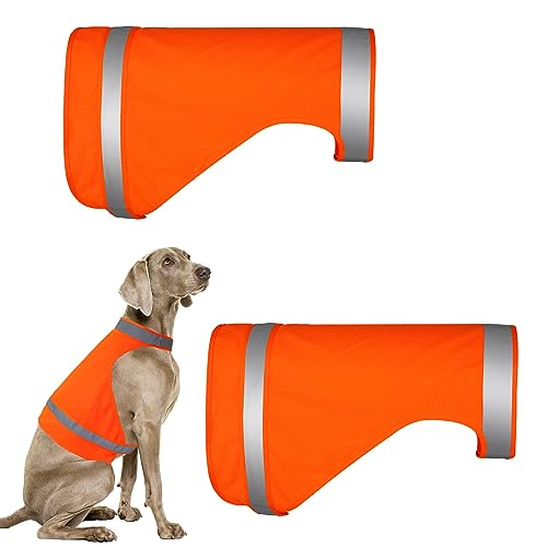 Dog Vest Hunting – The 15 best products compared - Wild Explained