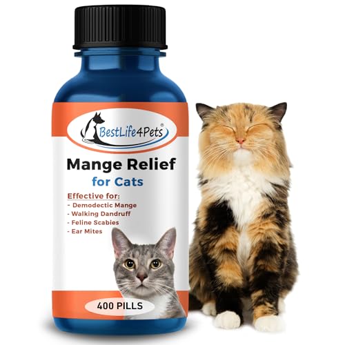 Cat Ear Mites Medicine – The 15 best products compared - Wild Explained
