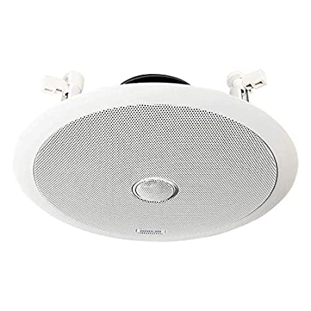 2 WAY PA CEILING SPEAKERS : Amazon.in: Electronics