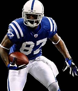 Amazon.com: Reggie Wayne Poster 18" X 24" - Reggie Wayne Print