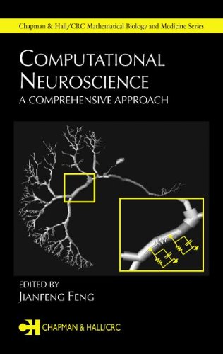 Amazon | Computational Neuroscience: A Comprehensive Approach (Chapman ...