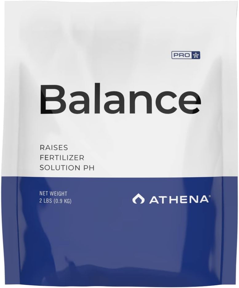 Athena Pro Balance (10 libras) – Yaxa Colombia