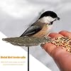 Amazon.com: changqing Metal Bird Bath Feeder Leaf Stake Dual Use for ...
