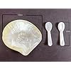 Amazon.com: Caviar serving set - Caviar Spoons - Mother of Pearl Spoon ...