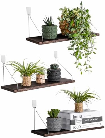 Amazon.com: Fixwal Floating Shelves for Wall No Drilling, 3pcs Renter ...