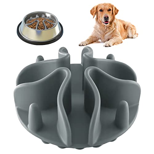 Feed your pooch in a flash: Check out these 10 fast eating dog food ...