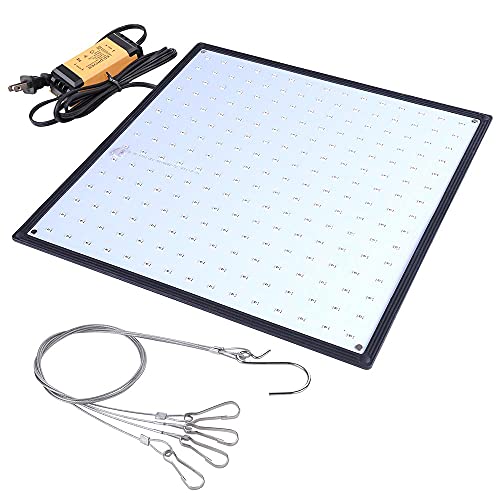 Top 5 Blue LED Grow Light For Veg And Flower [2023 Review]