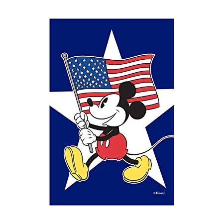 Amazon.com : Flagology.com, Disney, Mickey Mouse, Freedom Mickey ...