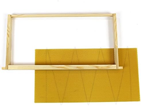 Easibee Langstroth Beehive Wired Wax Foundation Sheets and Frames (Brood x 10 pcs) : Amazon.co ...
