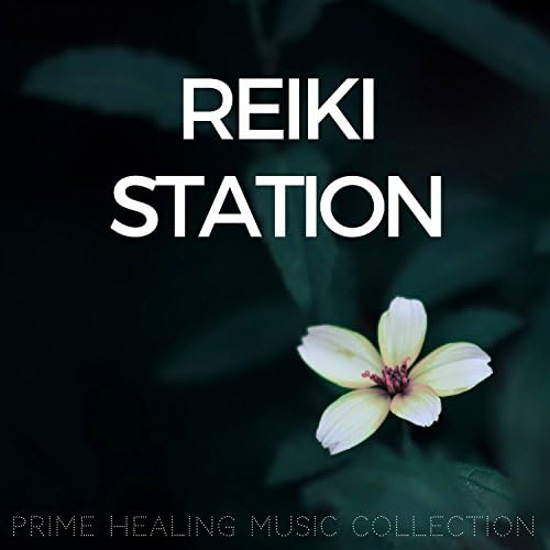 Amazon.com: Reiki Station - Prime Healing Music Collection : Reiki ...