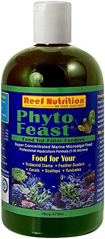 Amazon.com : Reef Nutrition Phyto-Feast Concentrate Marine ...