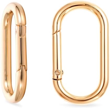 Amazon.com: 2 Pcs Spring O Ring Clip for Purse Strap Oval Snap Clip ...
