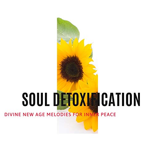 Amazon.com: Soul Detoxification - Divine New Age Melodies for Inner ...