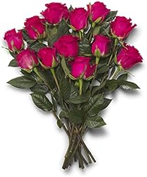 Floral, Rose 40CM, 12 Stems