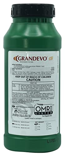Best Insecticide for Whiteflies: Top Products for Quick Control ...