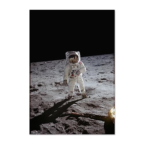 Amazon.com: Apollo 11 Buzz Aldrin Walking on the Moon - NASA Moon ...