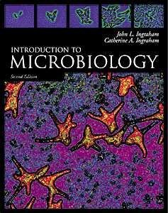 Buy Introduction to Microbiology Book Online at Low Prices in India ...