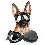 Doggles - Stylish Protective Eyewear for Dogs | The Green Head