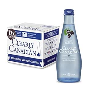 Amazon.com: Clearly Canadian Mountain Blackberry Sparkling Spring Water Beverage, Natural ...