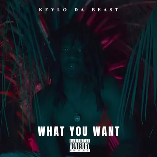 Écouter What You Want par Keylo Da Beast sur Amazon Music Unlimited