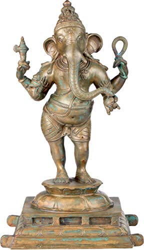 Exotic Bronze – Die 15 besten Produkte im Vergleich - Womensvita