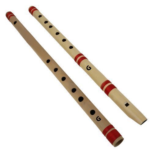 Surjan Singh & Sons Flute Set - Includes 2 Flutes: Fipple & Transverse ...