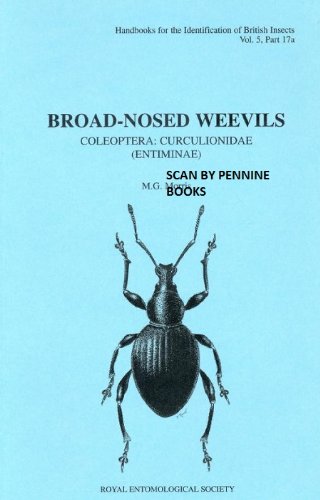 Broad-nosed weevils: Coleoptera: curculionidae (entiminae) (Handbooks ...