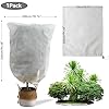 DazSpirit Plant Fleece Frost Protection, 200 x 240 cm Non-Woven Garden ...