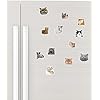 Amazon.com: 12Pcs Funny Cat Meme Fridge Magnets Cute Refrigerator ...