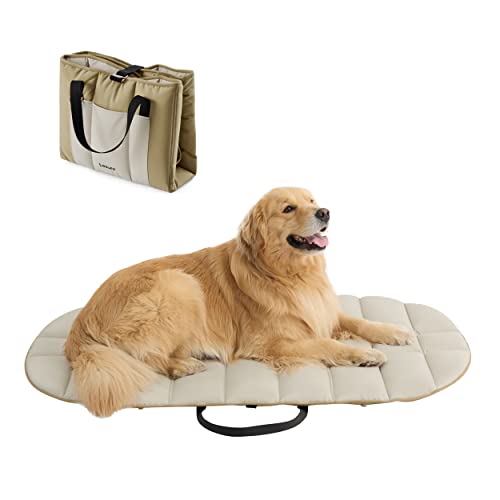 Camping Dog Bed – The 15 best products compared - Wild Explained
