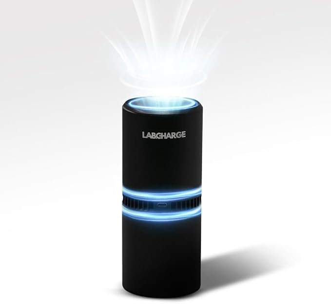 Amazon.com: LabCharge Small Ionic Air Purifier for Home & Bedroom ...