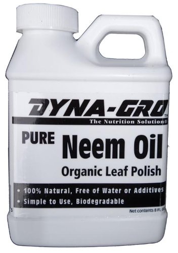 Best Neem Oil Sprays for Plants 2026: Expert Reviews & Guide