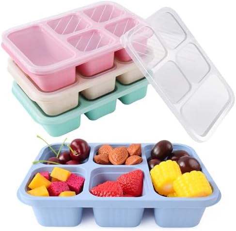 Amazon.com: Sinnsally 5 Compartment Bento Box, Reusable Lunch ...