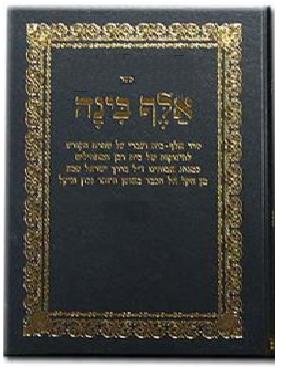 Amazon.com: Sefer Alef Binah: ספר אלף בינה, Rabbi Chaim Fried: Books