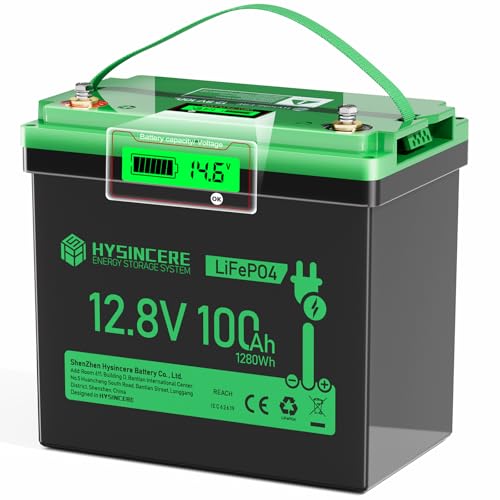 Redodo Batteria Litio 12V 100Ah LiFePO4 con BMS 100A Recensione: Il ...