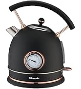 Rasonic Classic Retro Electric Kettle, 1.8L Stainless Steel, 3000W Fast ...