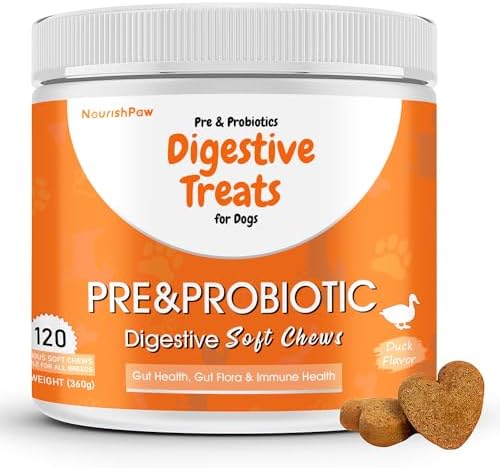 Pre, Pro & Postbiotics For Dogs - Digestive Treats - Optimal Gut Health ...