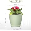 Amazon.com: UOUZ 16 Pack 4 Inch Plant Pots with Drainage Holes and ...