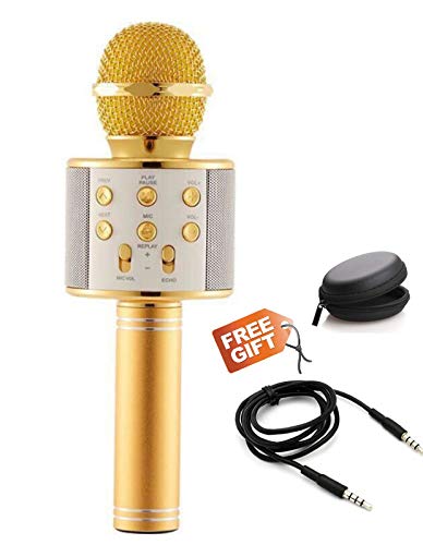 Paramits Wireless Electric Singing Mic/Mike Handheld Multi-Function ...