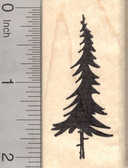 Amazon.com: Pine Tree Rubber Stamp, Evergreen, Fir for Scenes : Arts ...